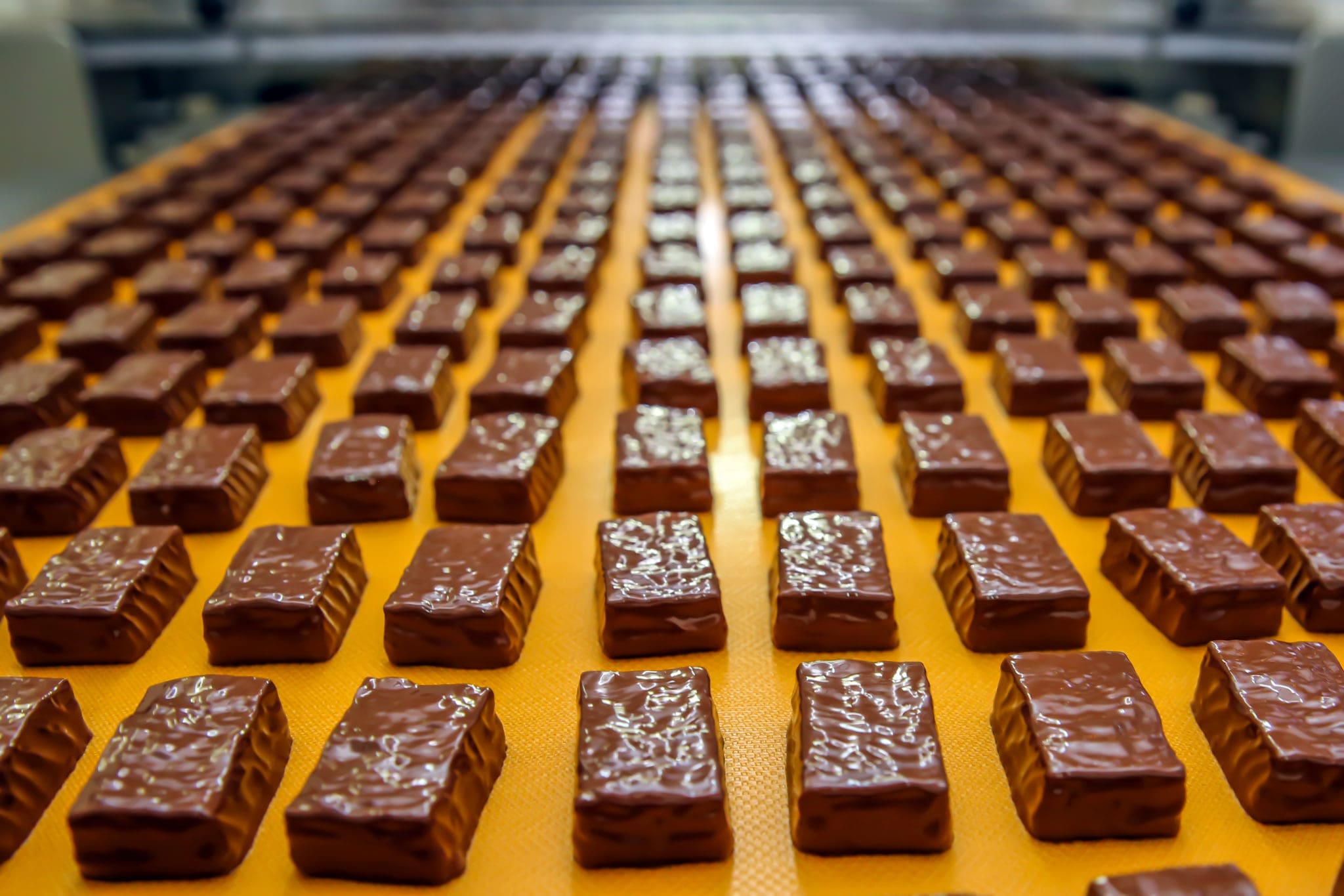 Cocoa Trading | iRely
